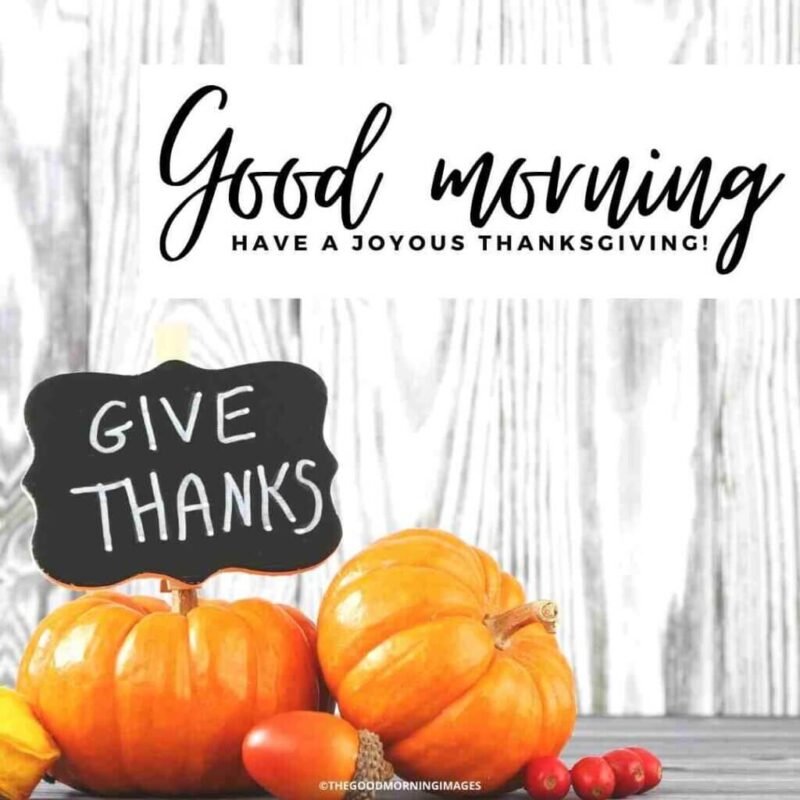 35 Good morning and Happy Thanksgiving Images - Good Morning Images