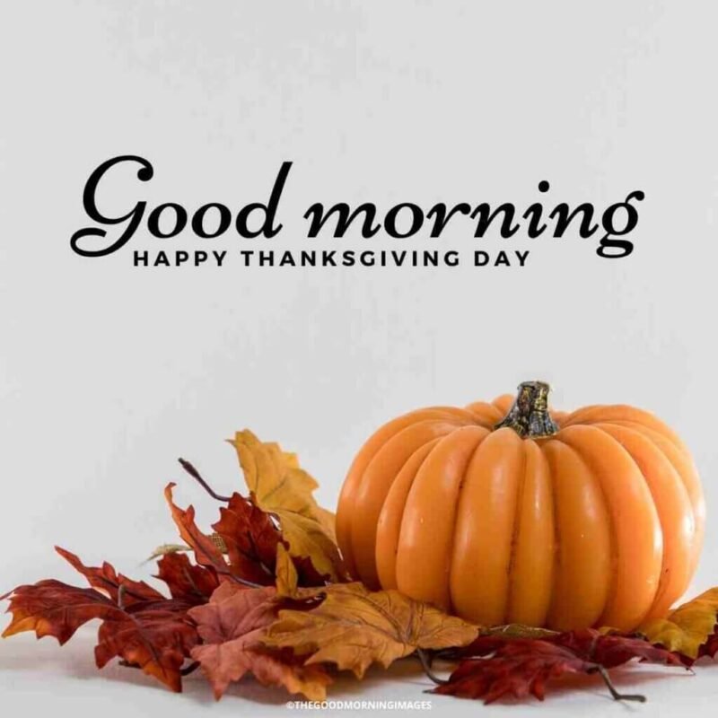 35 Good morning and Happy Thanksgiving Images - Good Morning Images