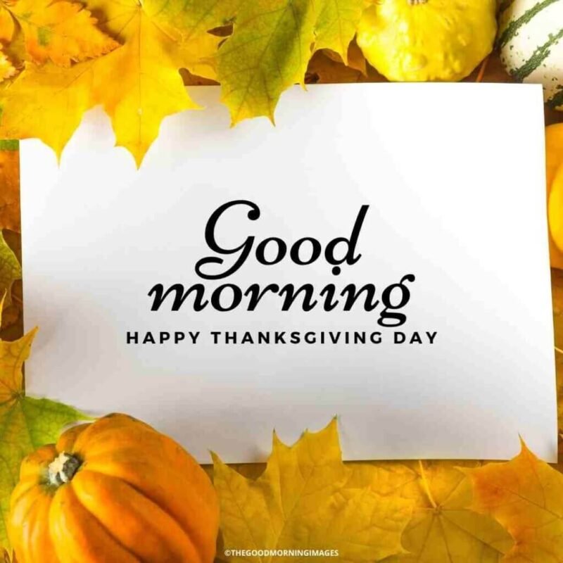 35 Good morning and Happy Thanksgiving Images - Good Morning Images