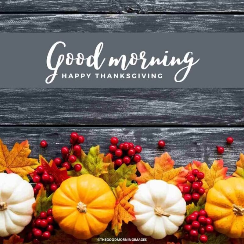 35 Good morning and Happy Thanksgiving Images - Good Morning Images