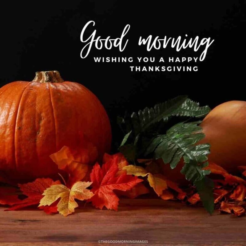 35 Good morning and Happy Thanksgiving Images - Good Morning Images