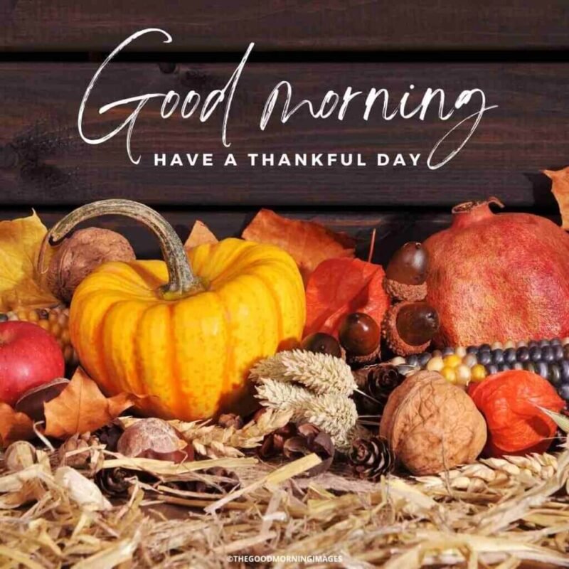 35 Good morning and Happy Thanksgiving Images - Good Morning Images
