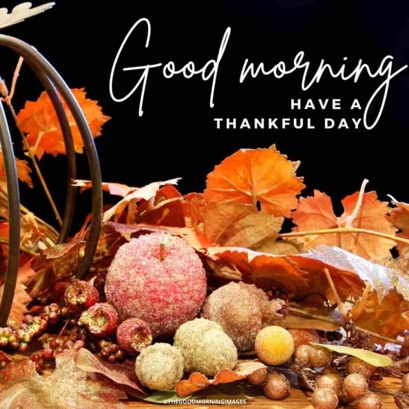 35 Good morning and Happy Thanksgiving Images - Good Morning Images