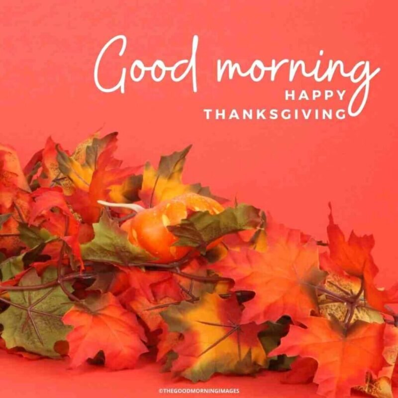 35 Good morning and Happy Thanksgiving Images - Good Morning Images