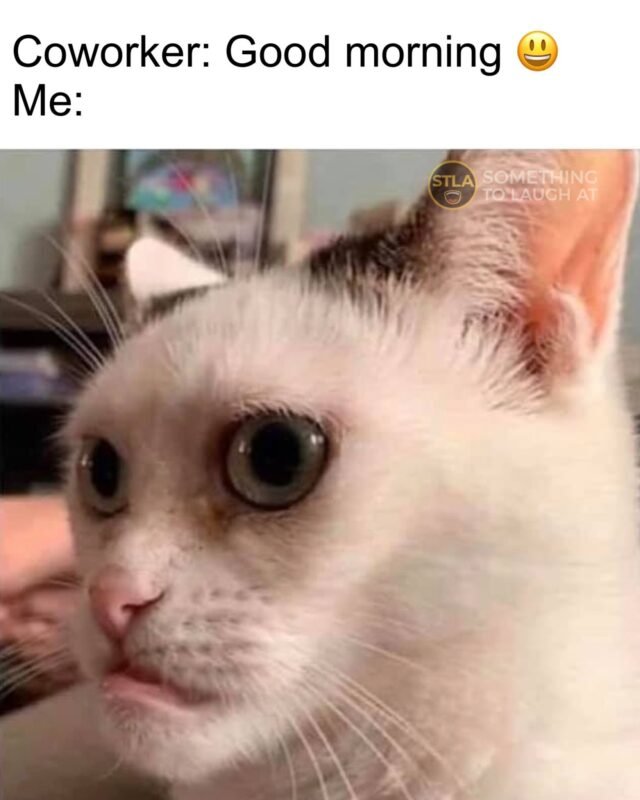 Funny Good Morning Images for Co-workers and Colleagues - Good Morning ...