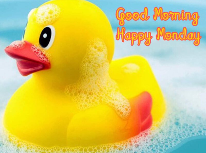 Happy Monday and Cute Good Morning Images - Good Morning Images