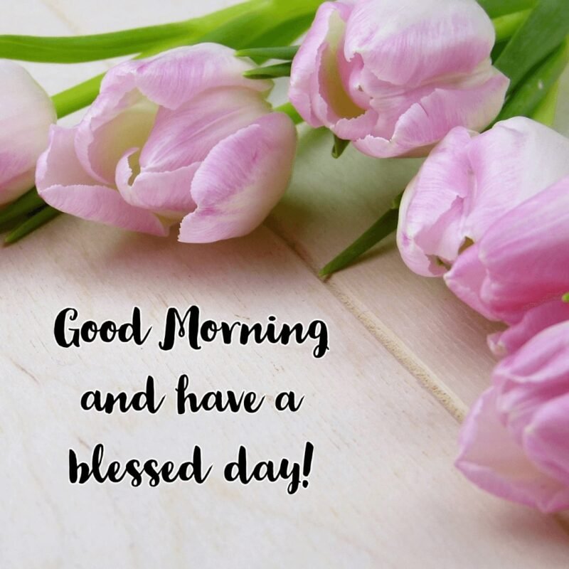 Good Morning Images with Flowers - Good Morning Images