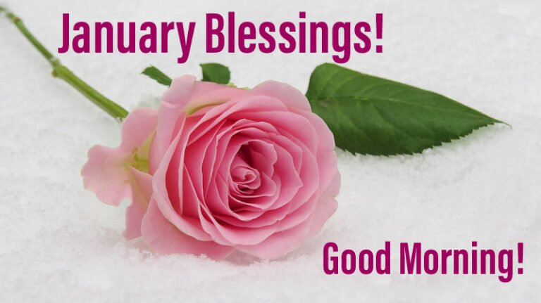 Happy January Images With Positive Quotes - Good Morning Images